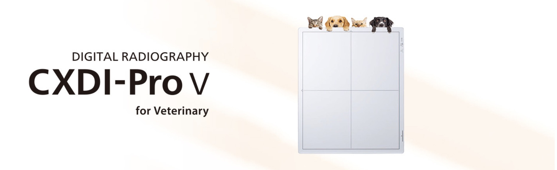 動物用デジタルラジオグラフィ CXDI-Pro V | 株式会社EMILUCK